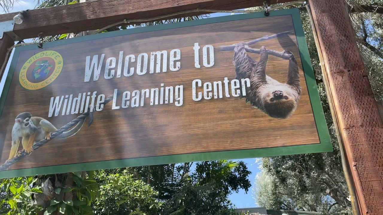 Wildlife Learning Center is a refuge and classroom